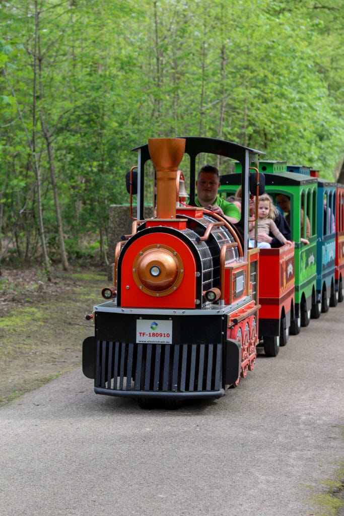 Een Dag Vol Avontuur Bij Steinerbos Belevenispark In Limburg